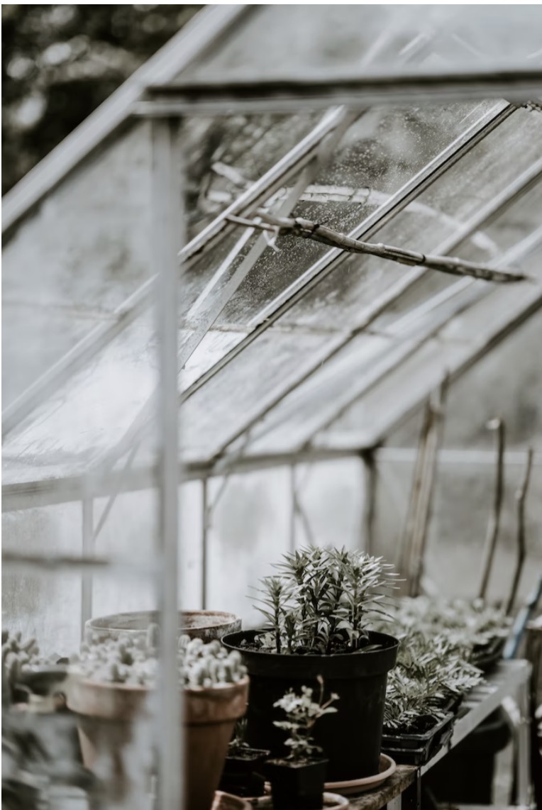 Repurpose Your Old Windows: 10 Creative Ideas | Window World